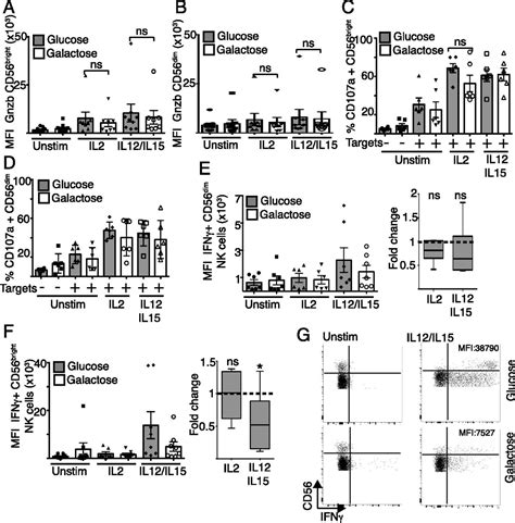 Metabolic Reprogramming Supports Ifn γ Production By Cd56bright Nk