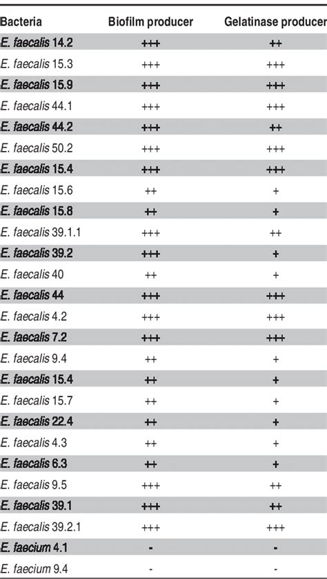 Multidrug Resistance Pattern Among The Enterococcus Spp Download Table