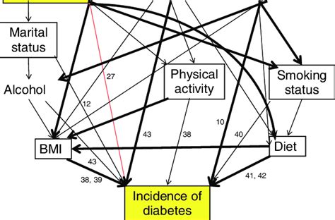 Directed Acyclic Graph Dag For The Causal Relationship Between
