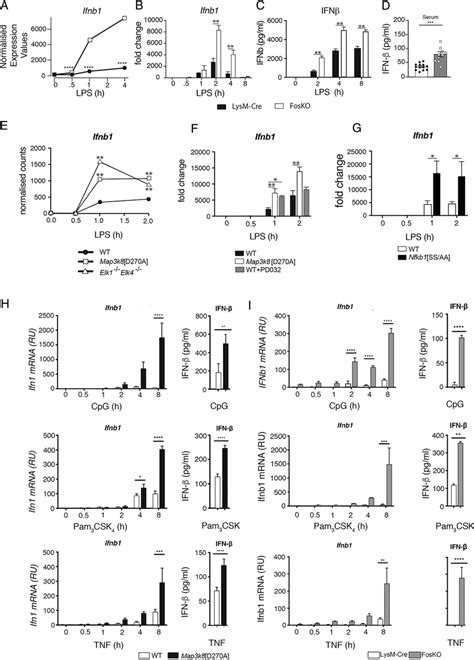Fos Represses Lps Induced Expression Of Ifn B A Normalized Counts