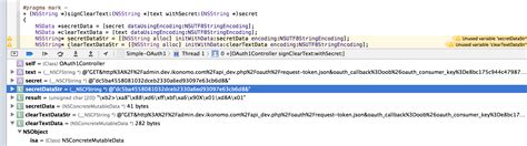 objective c viewing nsdata contents in xcode stack overflow