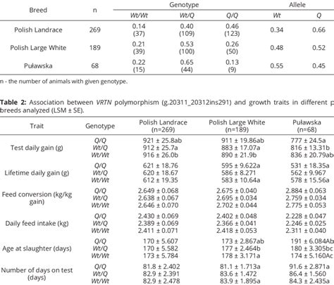 Genotype And Allele Frequencies Calculated For The Vrtn Polymorphism