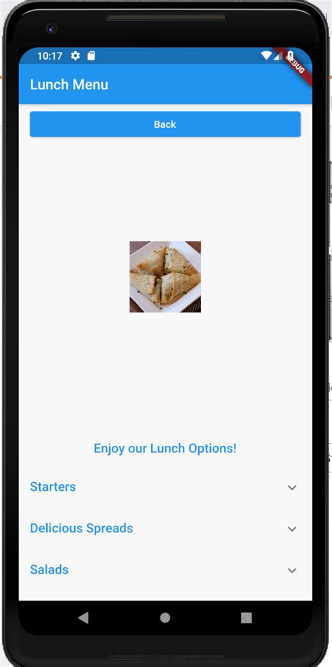 dart flutter scroll down automatically stack overflow