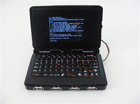 pin on raspberry