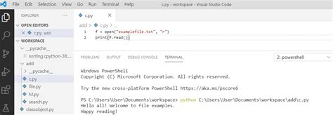 python file methods with useful examples python guides