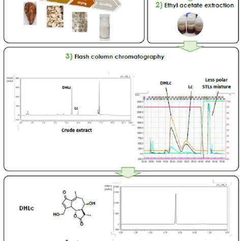 Three Main Steps Of The Extraction Purification Process Download