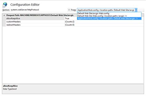 problema cors arcgis 10 1 iis cross origin resource sharing
