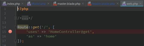 unable to hit breakpoints outside of laravel s index php stack overflow