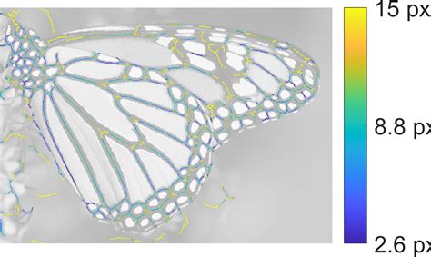 ag computational data analysis