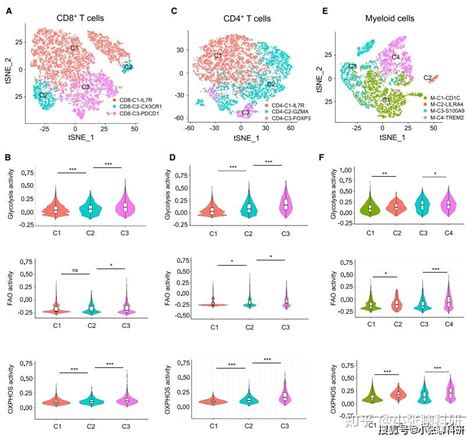 文献详解丨bulk多组学联合单细胞转录组分析揭示了乳腺癌的代谢异质性 知乎