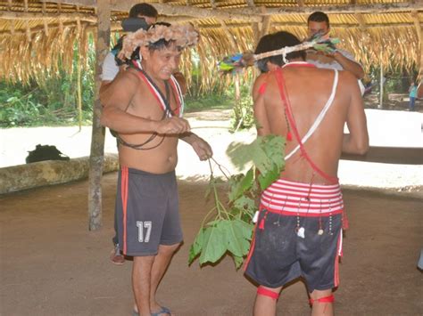 Blog Do Call Indígenas Realizam Ritual Da Urtiga Para Celebrar Início