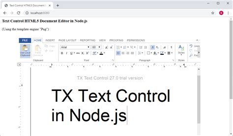 tx text control for node js tx text control server