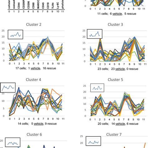 Graphs Of Cells In Each Female Cluster The Cmp Summary Of All Cells In