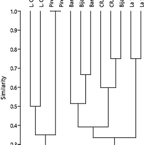 Dendrogram From Upgma Cluster Analysis Using Jaccards Similarity