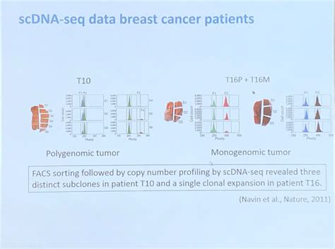 Dna Copy Number Profiling From Bulk Tissue To Single Cells Weiyas