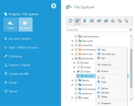 manage projects and the file system administration