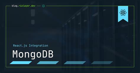 a beginner s guide to integrating mongodb with react