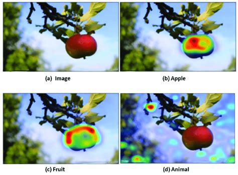 The Proposed Knowledge Updated Multimodal Object Detection Model Can