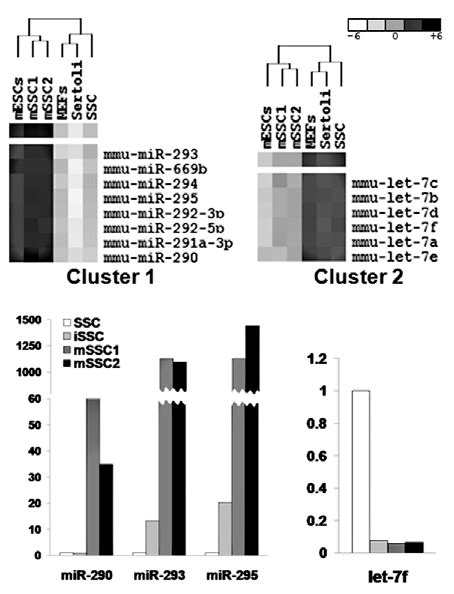 Microrna And Stem Loop Real Time Pcr Analysis A Cluster 1 Mir 290