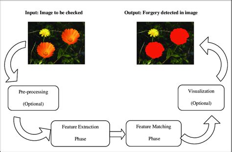 Common Workflow Of Copy Move Forgery Detection Techniques Download