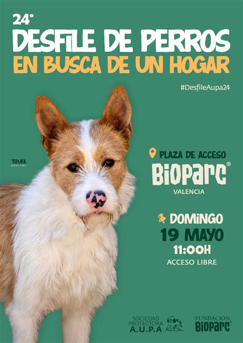 El 24º Desfile De Perros De A U P A Y Fundación Bioparc Será El