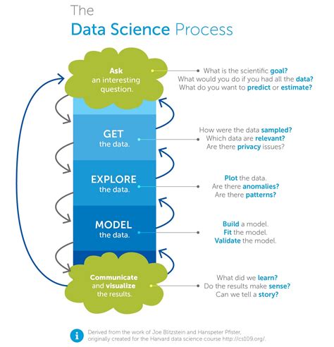Data Science Overview Ants Site