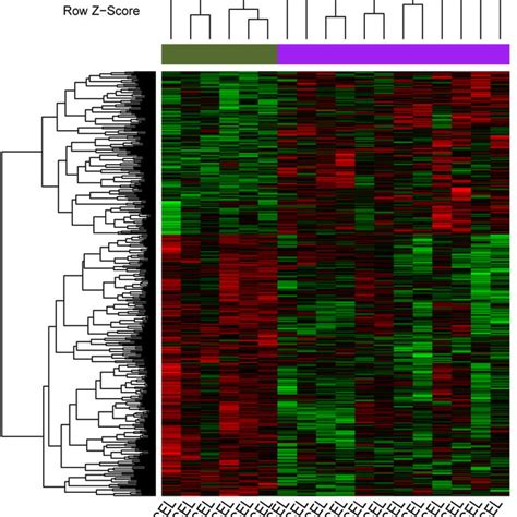 The Clustering Heatmap Of The Differentially Expressed Genes Degs