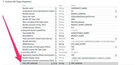 ios how can i read a custom key s value in info plist and use it in