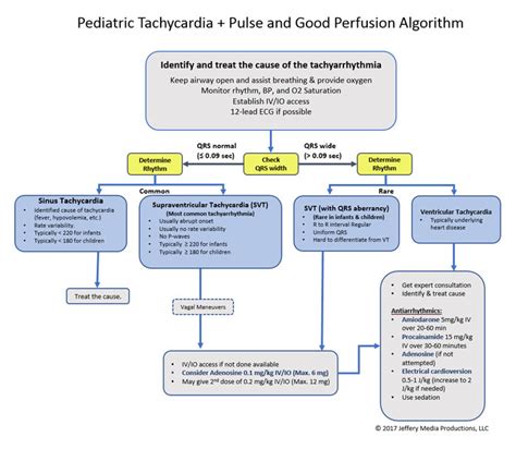 pals tachycardia algorithm learn and master pals