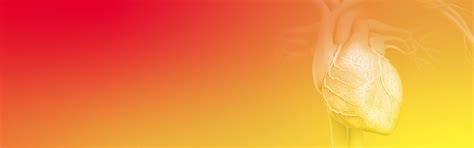 Microvascular Assessment Using Imr And Cfr For Cmd Abbott