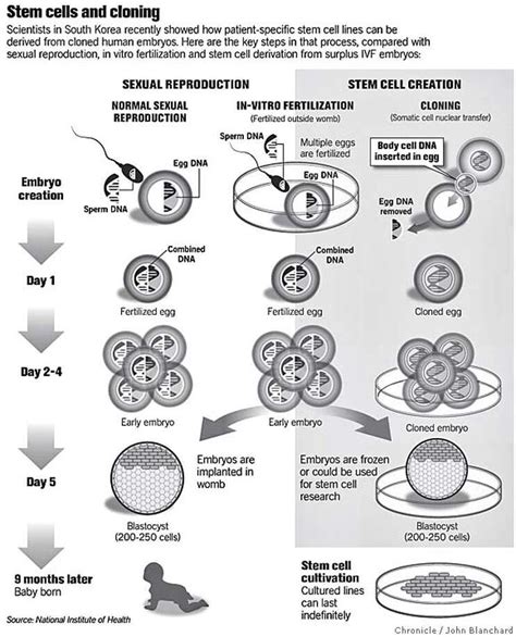 fast moving cloning developments spark new worries oversight concerns