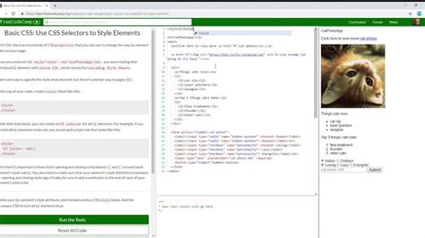 2 44 basic css use css selectors to style elements learn freecodecamp