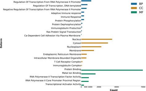 David Functional Gene Ontology Go Analysis Of Biological Process