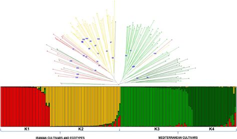 Bayesian Clustering Analysis Of Iranian Olive Samples And Mediterranean