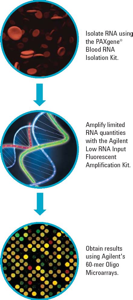 Figure 1 From Analysis Of Gene Expression Using Agilent Microarrays And