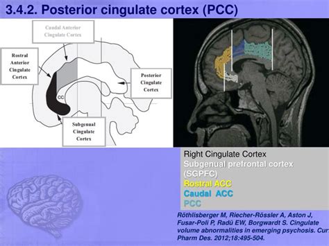 Ppt Limbic System Powerpoint Presentation Id 2130402