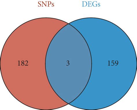Identification And Functional Annotation Of Degs And Target Snps