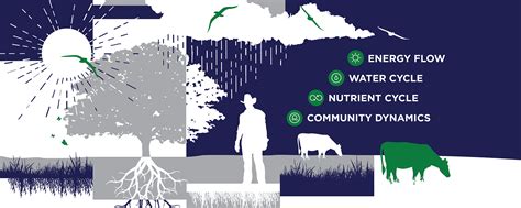 What Are Ecosystem Processes And Why Do They Matter On The Ranch