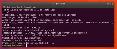 install and learn to use curl on ubuntu 18 04 linux hint