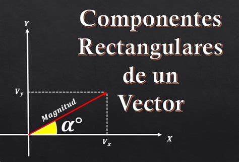 Componentes Rectangulares De Un Vector Con Ejercicios