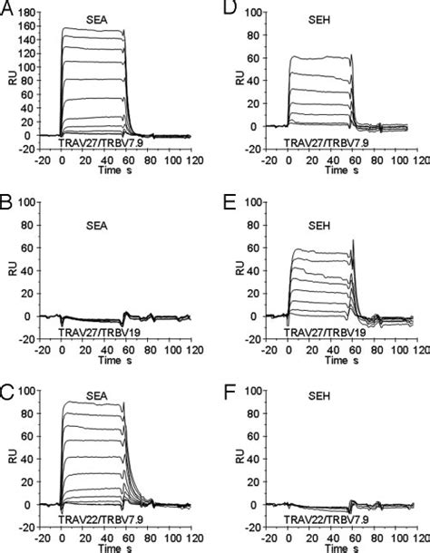 Biacore Analyses Of Seh And Sea Binding To Various Tcrs Shown Are The