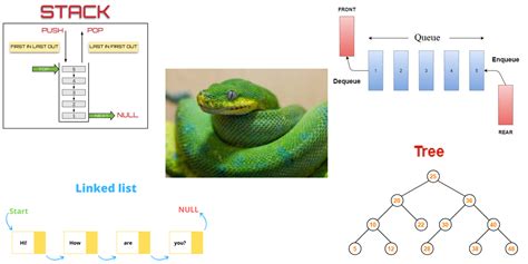data structures in python stacks queues linked lists and trees