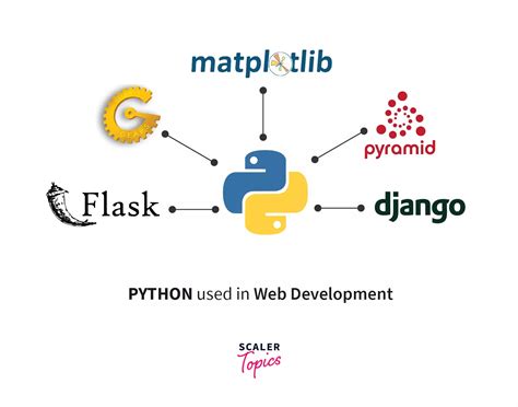 what is python programming why learn python scaler topics