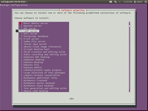 ubuntu setup lamp server ankit ahsvin