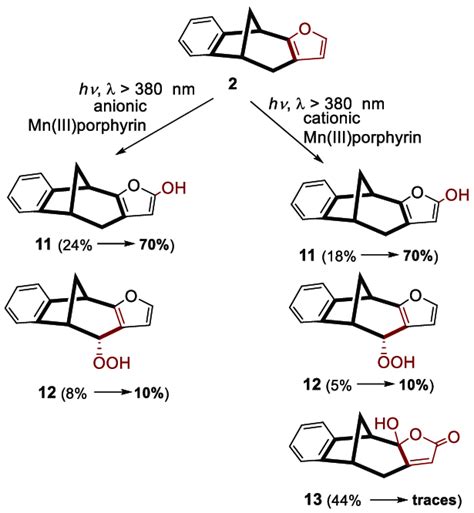 Scheme 3 Reaction Pathways And Product Ratios For The Photocatalytic