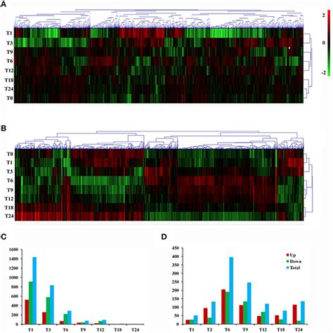 Frontiers Dual Identification And Analysis Of Differentially