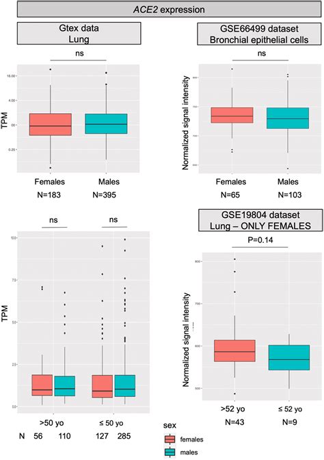 Ace2 And Tmprss2 Variants And Expression As Candidates To Sex And
