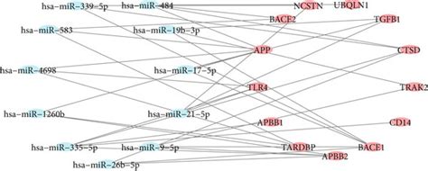Bipartite Gene Mirna Subnetworks For All Of The Clusters A Cluster