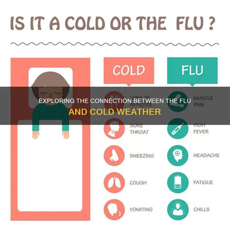 Exploring The Connection Between The Flu And Cold Weather Medshun