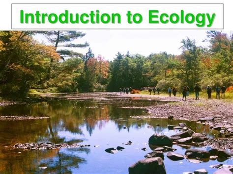 Ppt Introduction To Ecology Powerpoint Presentation Free Download